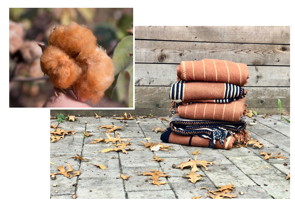 Unearthing the Meaningful Story & Artistry of Ixcaco Cotton – Behind ...